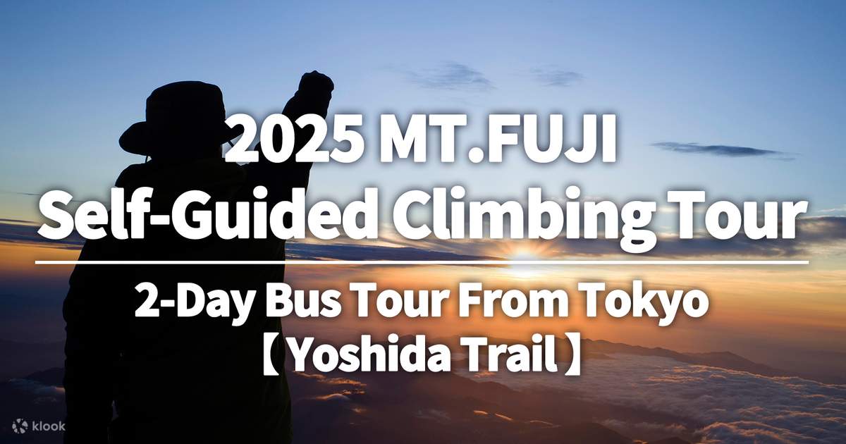 2-Day Mt. Fuji Climbing Tour: Departing from Shinjuku | Yoshida Route | Free Plan (Mountain Huts ...